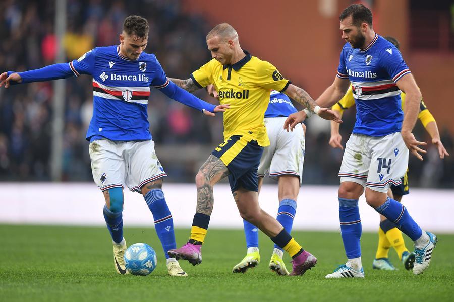 Che rimonta, il Modena e Palumbo riprendono la Sampdoria - Gazzetta di ...