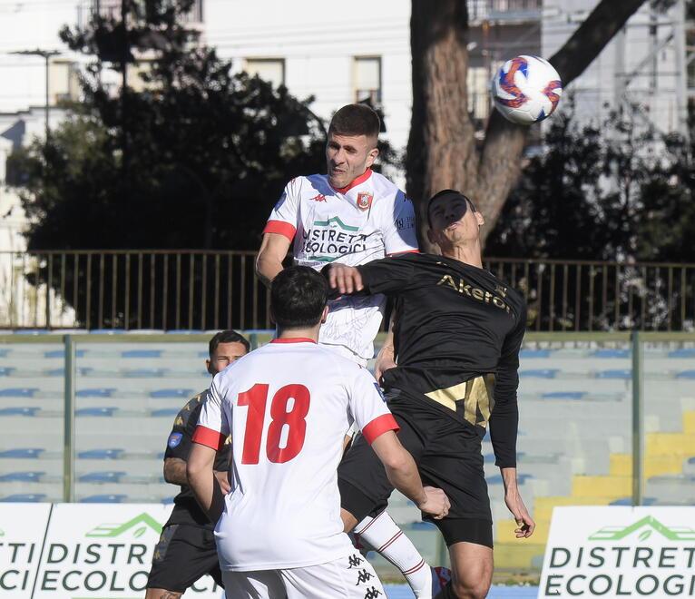 Grosseto, oggi inizia l’era Malotti. Quale squadra ha in mente il ...