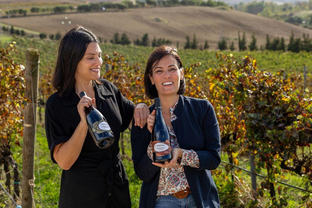 La guida dell’Espresso: ecco tutti i vini sardi premiati - La Nuova Sardegna