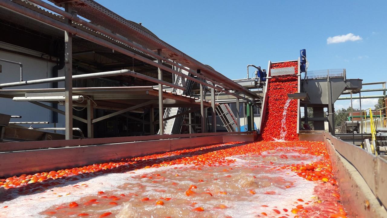 Casar, un’eccellenza sarda che esporta in tutto il mondo - La Nuova ...