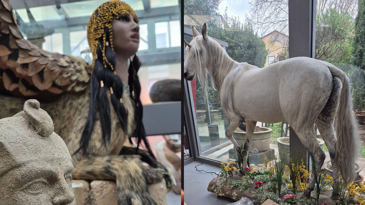 A Livorno arriva la grande mostra “Creature fantastiche: il mito prende ...