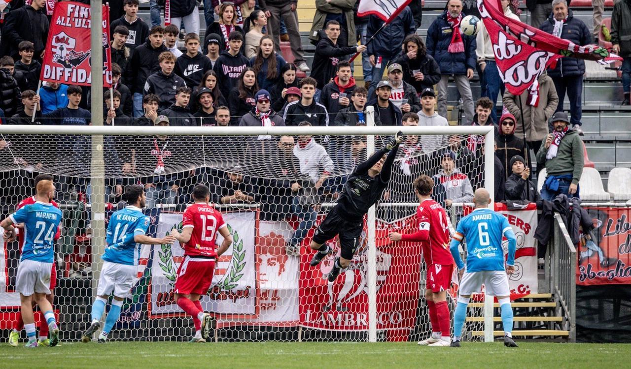 Risultati Serie C: Carpi-Pineto 1-1, gol di Schirone e Rigo - Gazzetta ...