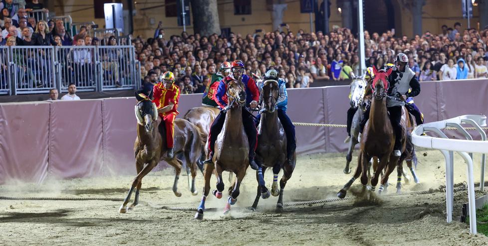 Ferrara, le corse del Palio su tre schermi a led - La Nuova Ferrara