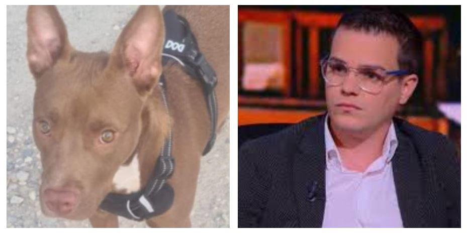 L’attivista per gli animali Enrico Rizzi a Fabbrico per il cane Diego ...