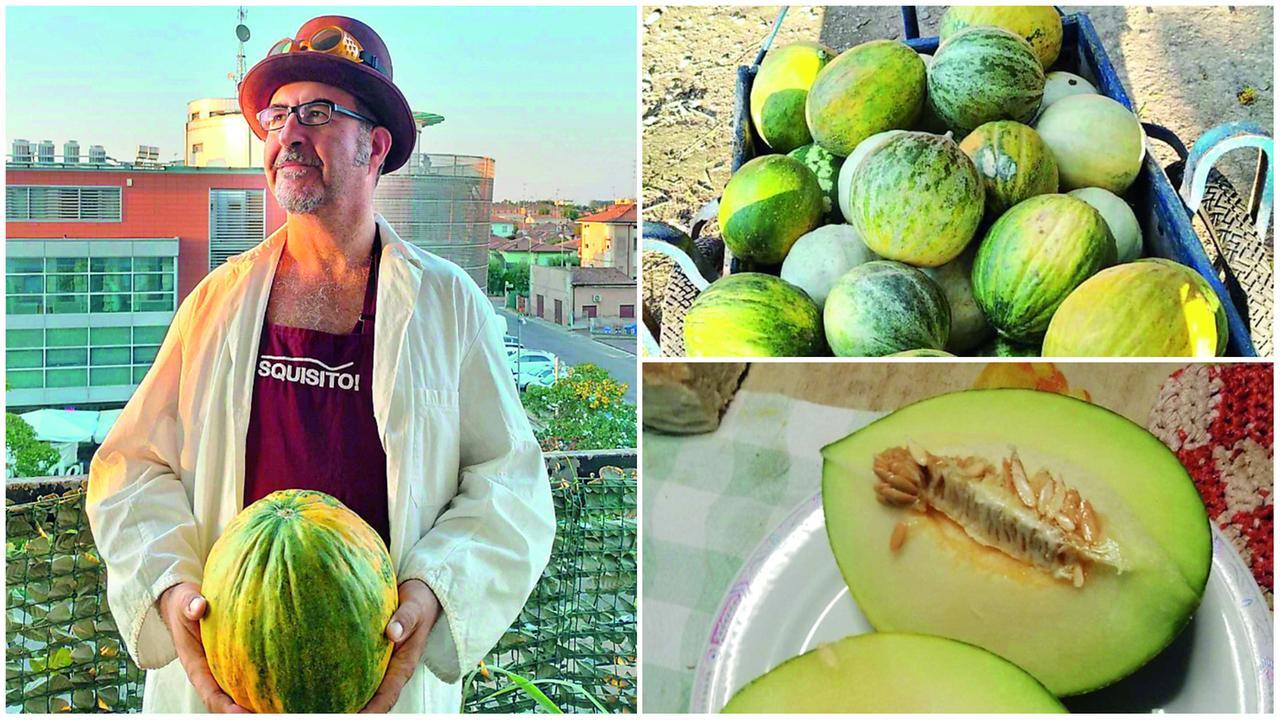 Frutta da record a Modena: ecco il melone da 6 chili - Gazzetta di Modena