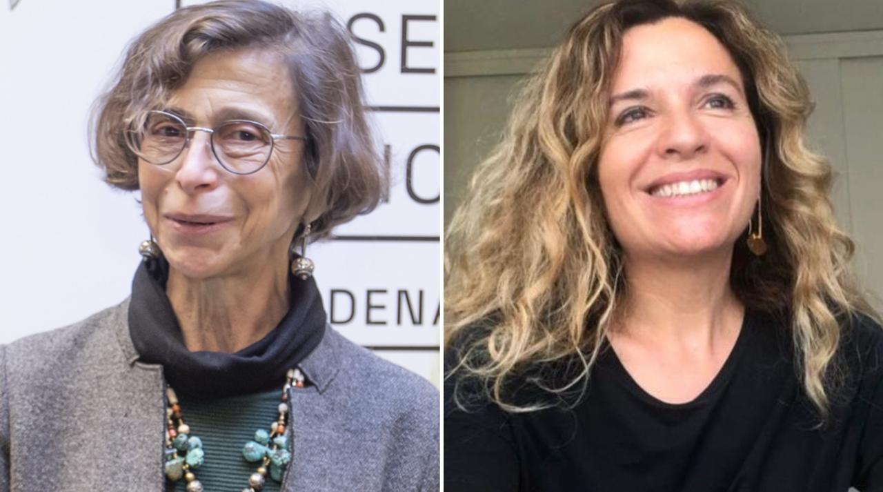 Museo civico di Modena, Valentina Galloni nuova direttrice al posto di ...