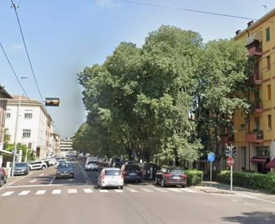 Donna aggredita in viale Storchi a Modena: salvata dagli studenti ...