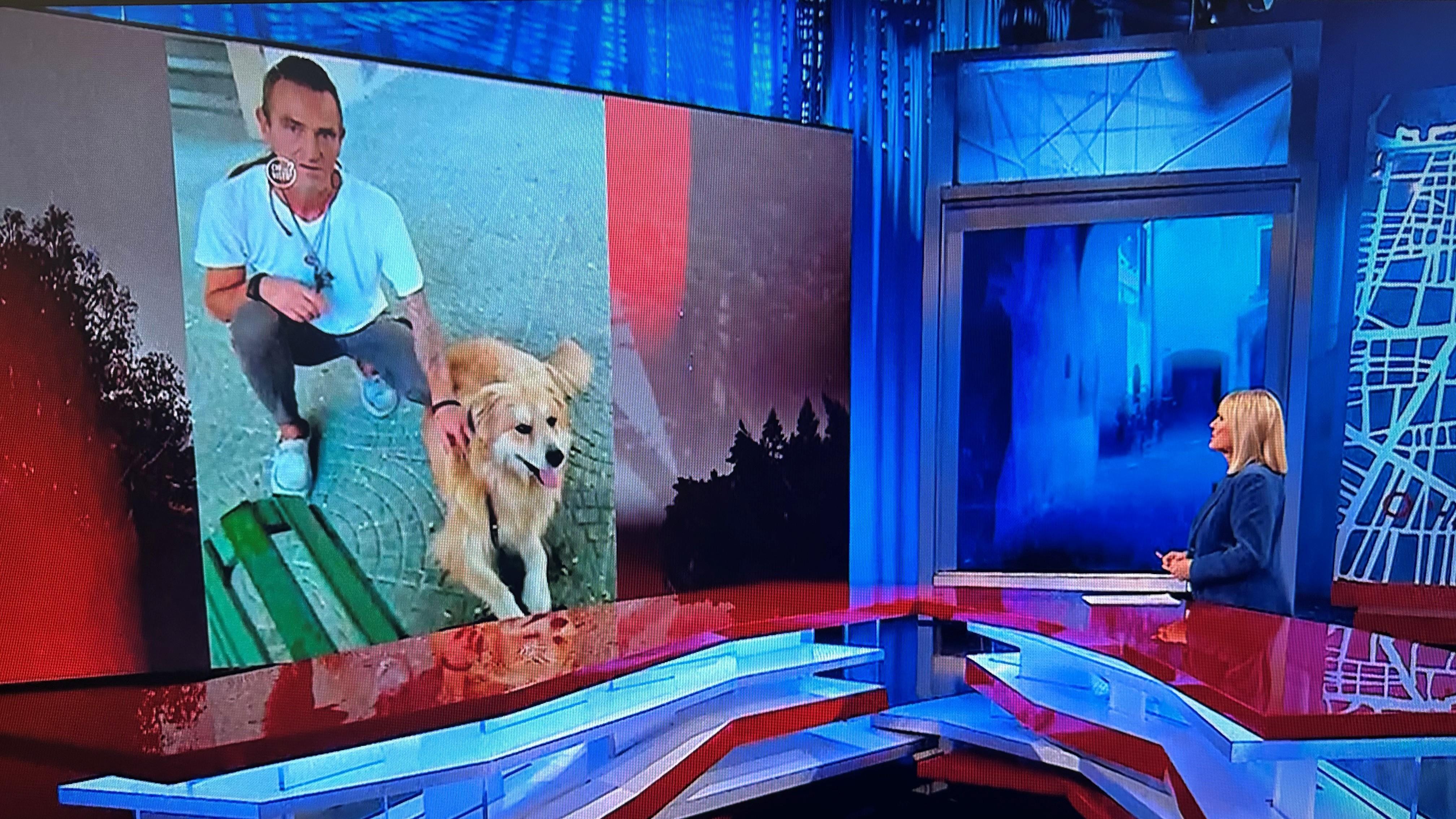 Cagliari, ritrovato Renè: era a Barcellona. Presto riabbraccerà il suo ...