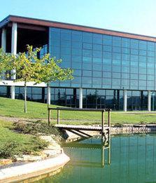 Reflex & Allen, a Guiglia da tutto il mondo - Gazzetta di Modena