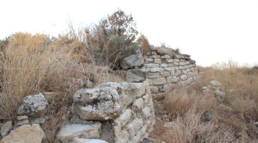 Guamaggiore, gli archeologi riportano alla luce le ossa di un «gigante ...