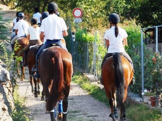 Cade da cavallo: in Rianimazione - La Nuova Sardegna