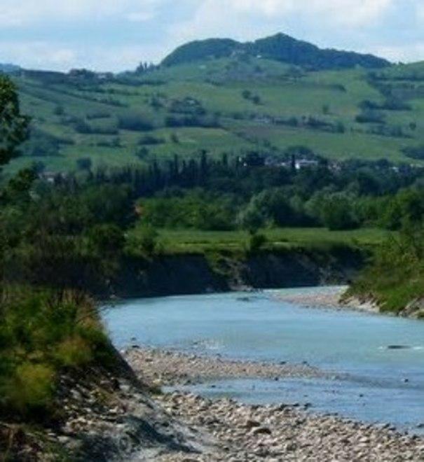«Il parco fluviale del Secchia risorsa per tutto l’ecosistema ...
