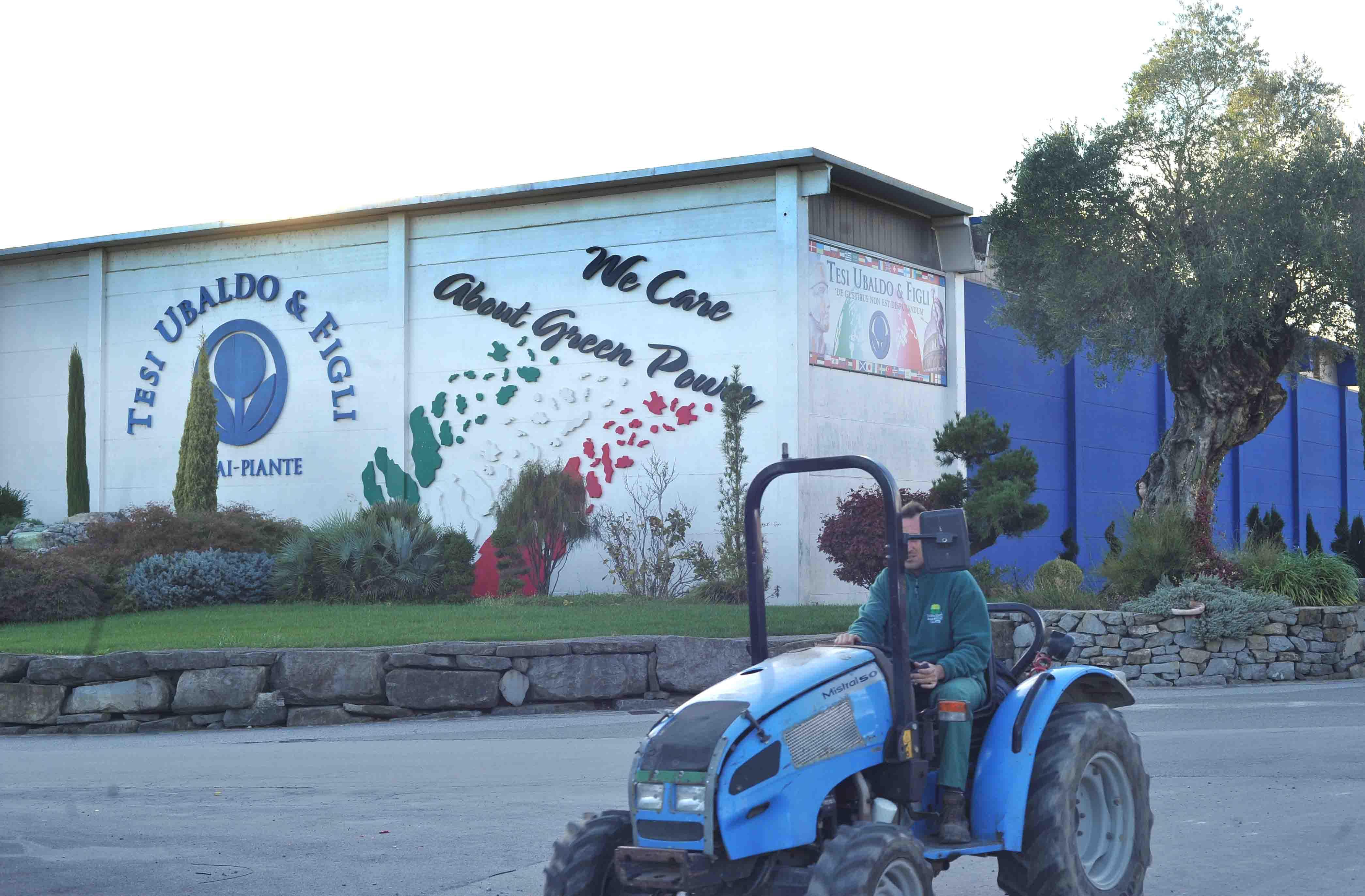 Sono falliti la Tesi Ubaldo e i tre soci proprietari - Il Tirreno