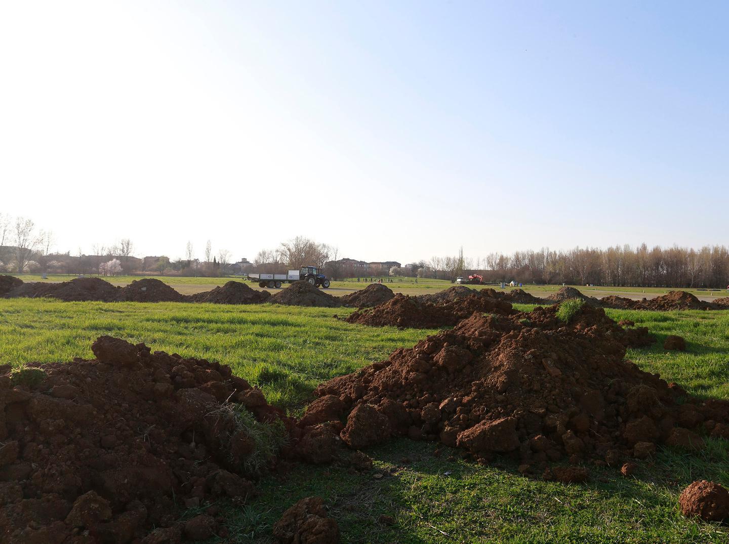 Modena e Parco Ferrari, via le piante per Vasco - Gazzetta di Modena
