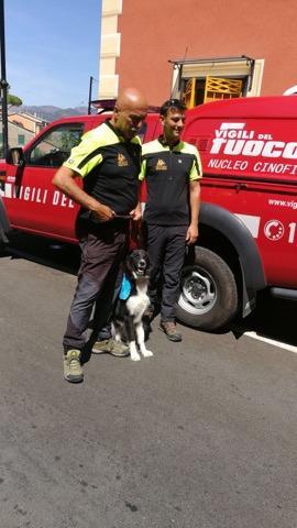 Terry, il cane salvato dalle macerie diventa pompiere - Il Tirreno