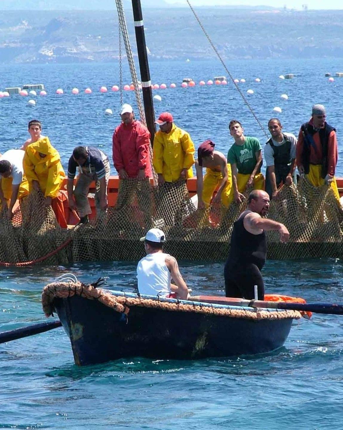 La pesca del tonno raccontata nei film - La Nuova Sardegna
