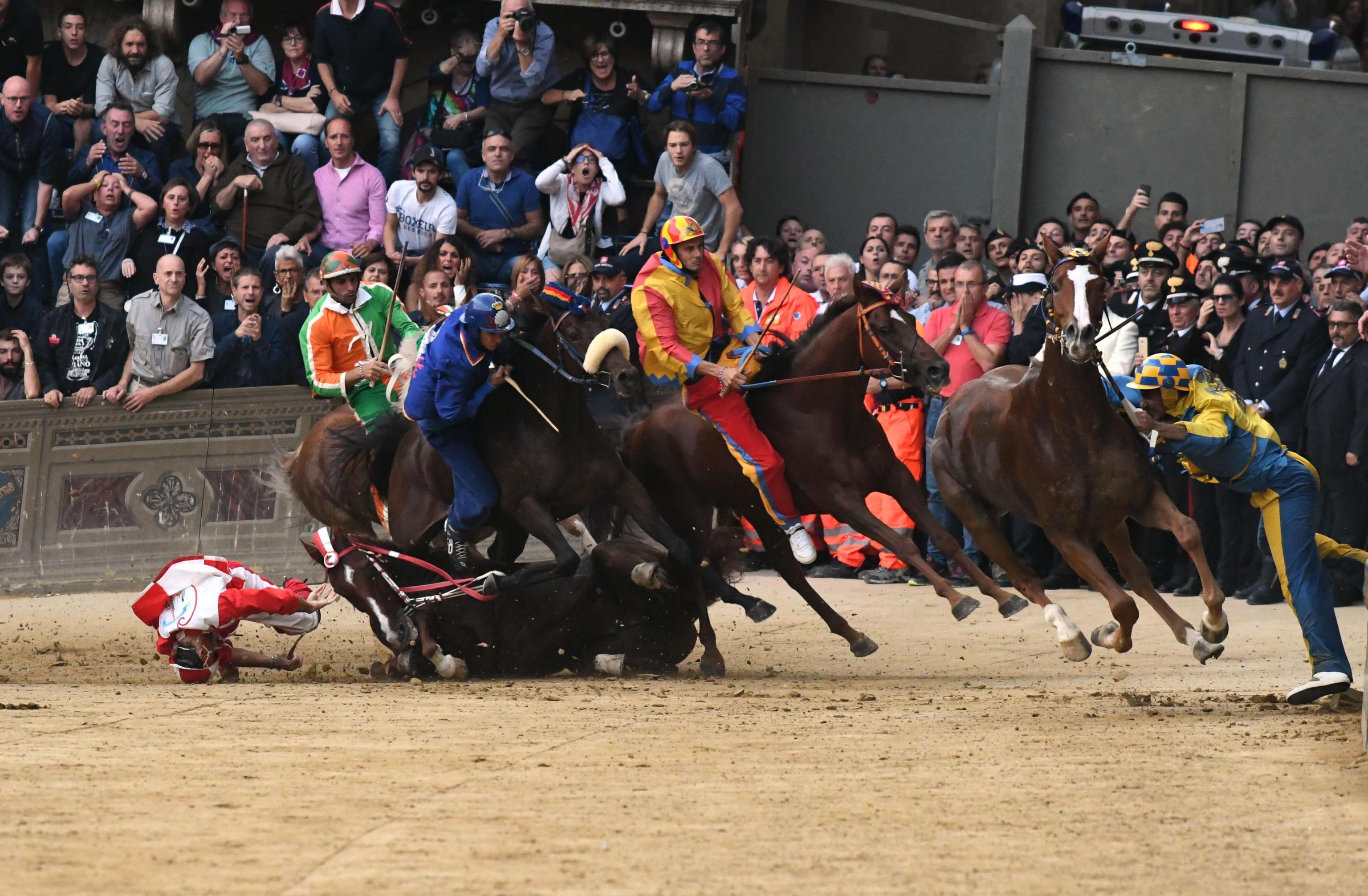 Palio di Siena, la procura apre un'inchiesta sulla morte del cavallo ...