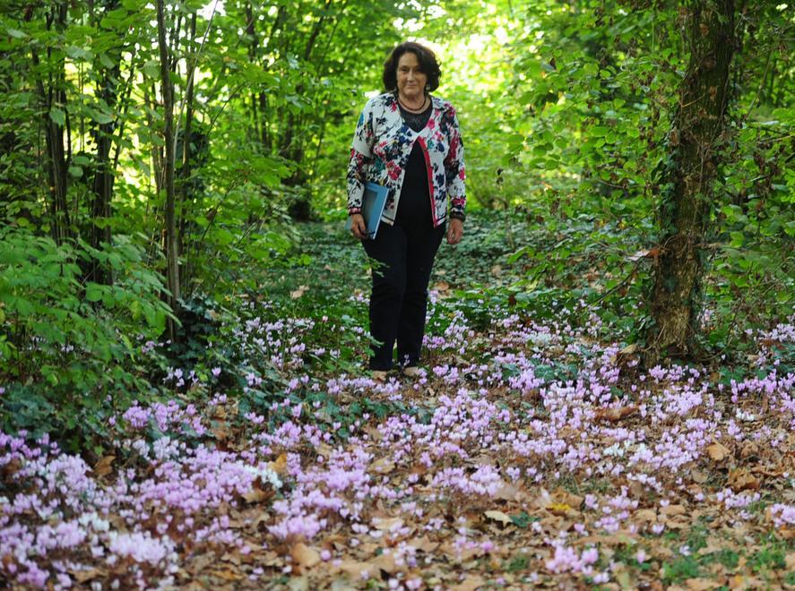 Modena. Rosalba Caffo Dallari Una paladina green amica degli alberi ...