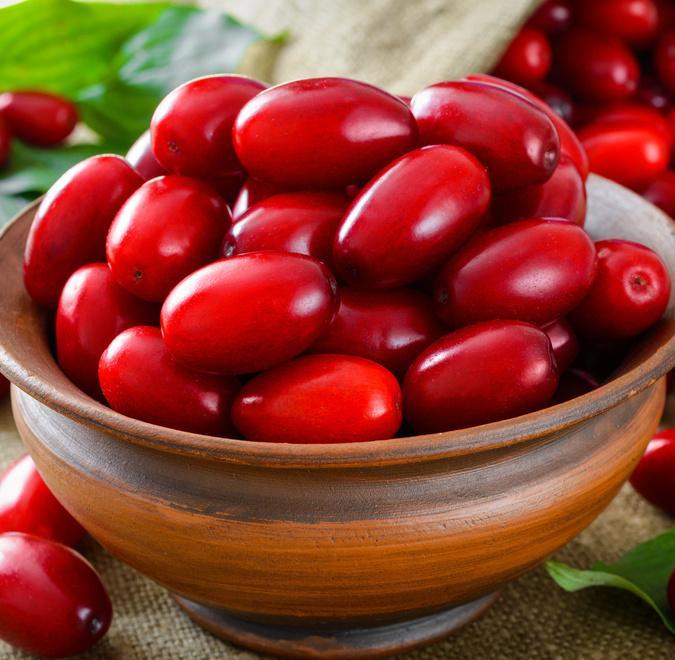 Corniola Una pianta vigorosa protagonista di leggende per marmellate ...