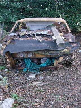 Ma quale discarica è solo un deposito di auto d'epoca - Il Tirreno