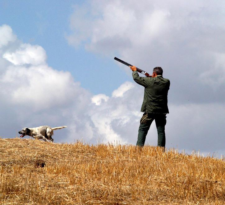Record di cacciatori in Versilia - Il Tirreno