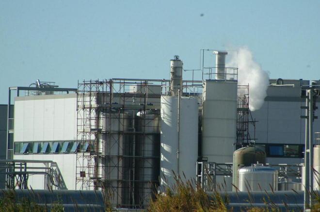 Corruzione, indagato Alberto Baraldi direttore della Salov - Il Tirreno