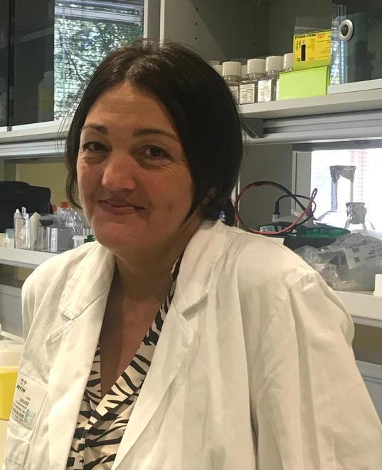Neuroblastoma, scoperta la proteina che causa il cancro: «Possiamo ...