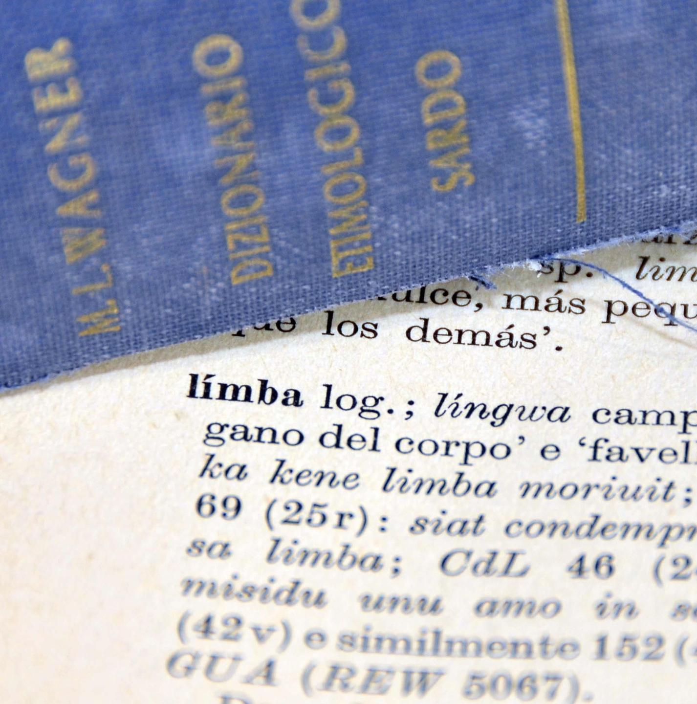 Un successo europeo il progetto Limba nostra - La Nuova Sardegna
