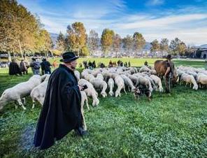 La transumanza patrimonio Unesco - La Nuova Sardegna