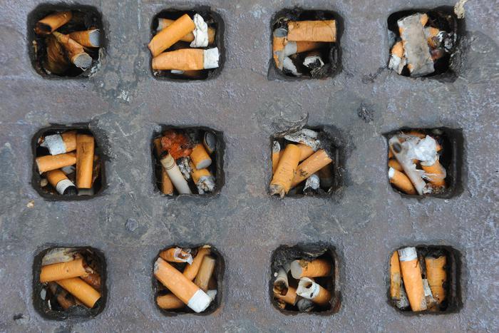 Da rifiuto a risorsa, le cicche di sigaretta utilizzate nei vivai e per ...