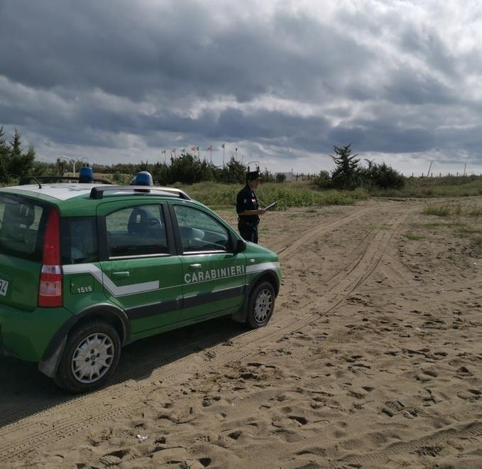 Pescano le anguille cee: 3.000 euro di multa - Il Tirreno