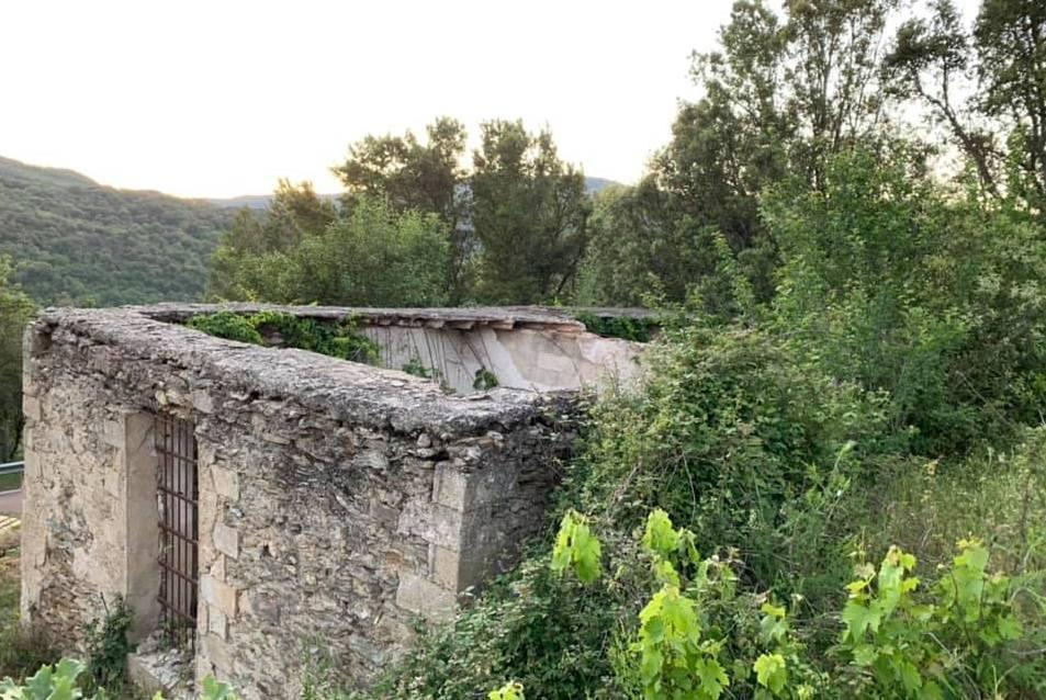 A Desulo rinascono le antiche vigne La Nuova Sardegna