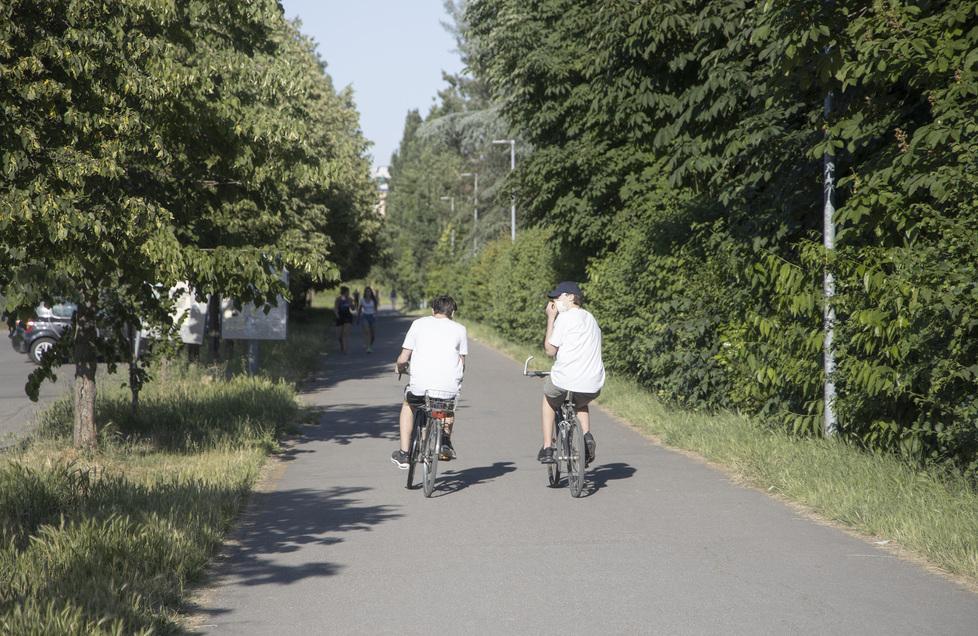Sulle strade extraurbane si possono “guidare” solo sulle piste ...