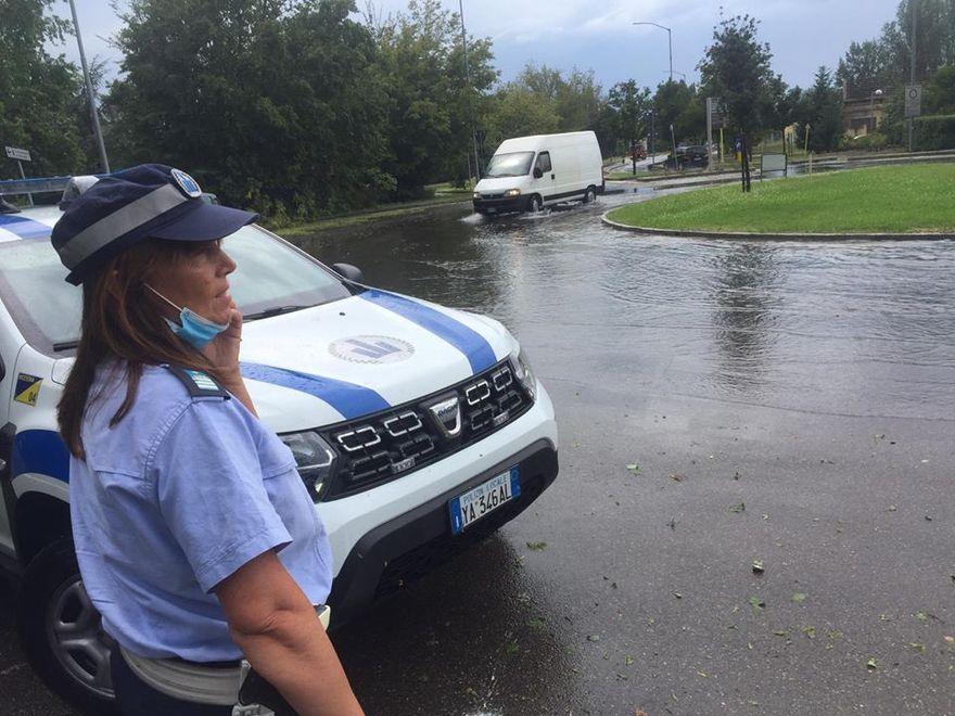 Modena, maltempo: grandine e piante abbattute Gazzetta di Modena