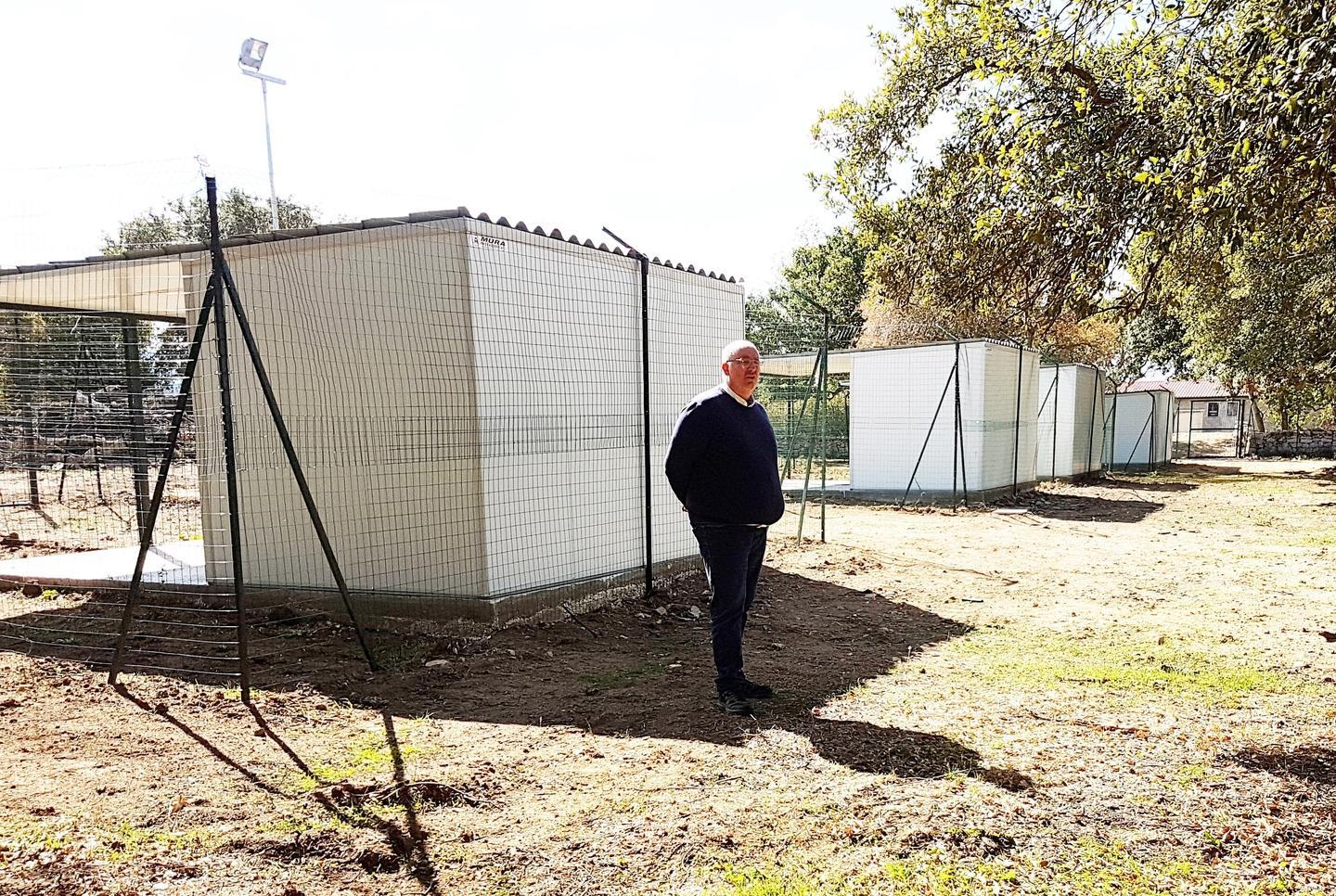 Il canile di Padulo presto in funzione - La Nuova Sardegna