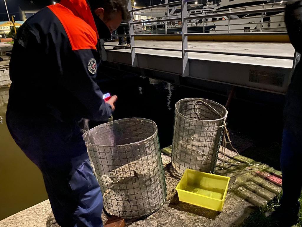 Sequestrati attrezzi per la cattura delle anguille "cee" - Il Tirreno