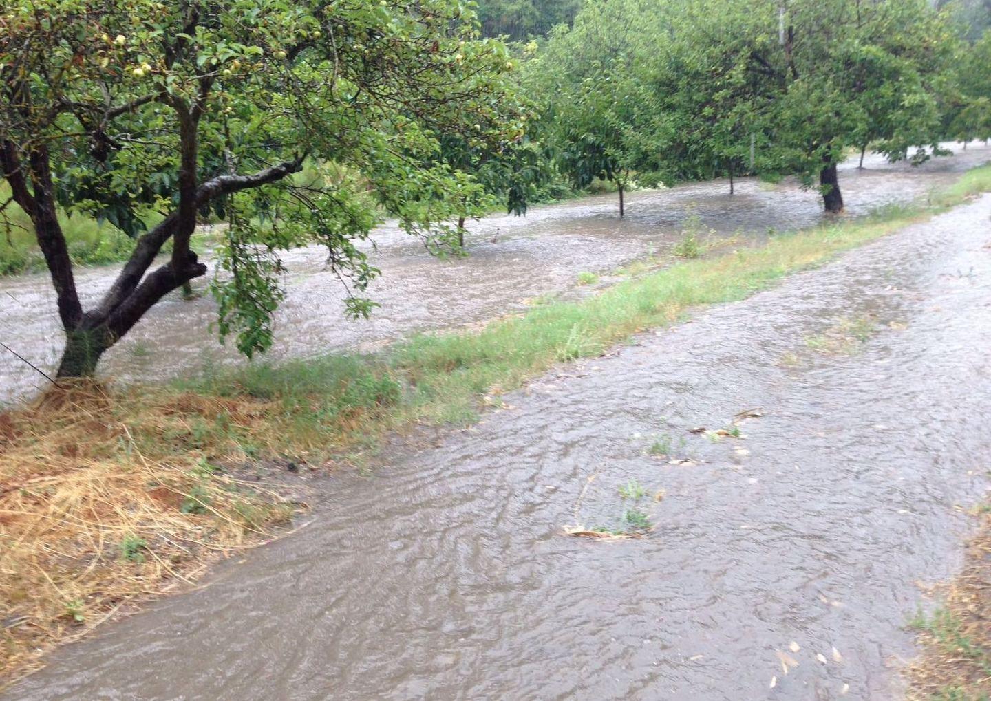 Pulizia dell’alveo del Rio Giuncheddu La Nuova Sardegna