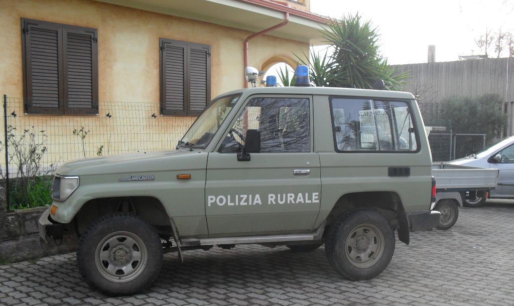 Paulilatino, i barracelli si preparano alla campagna antincendio - La ...