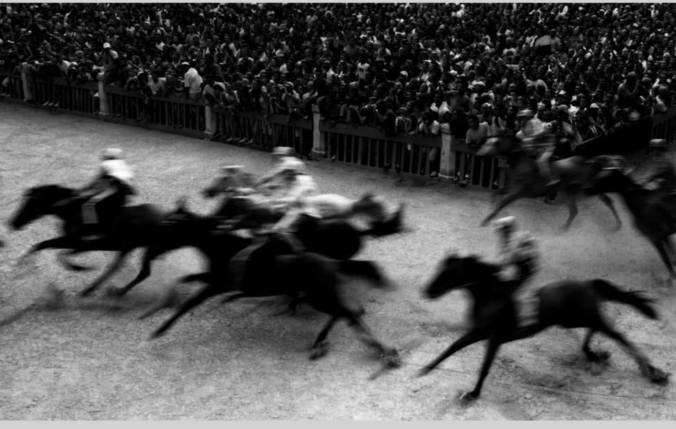 Delogu “fotografa” al Frantoio la sua passione per il Palio - Il Tirreno