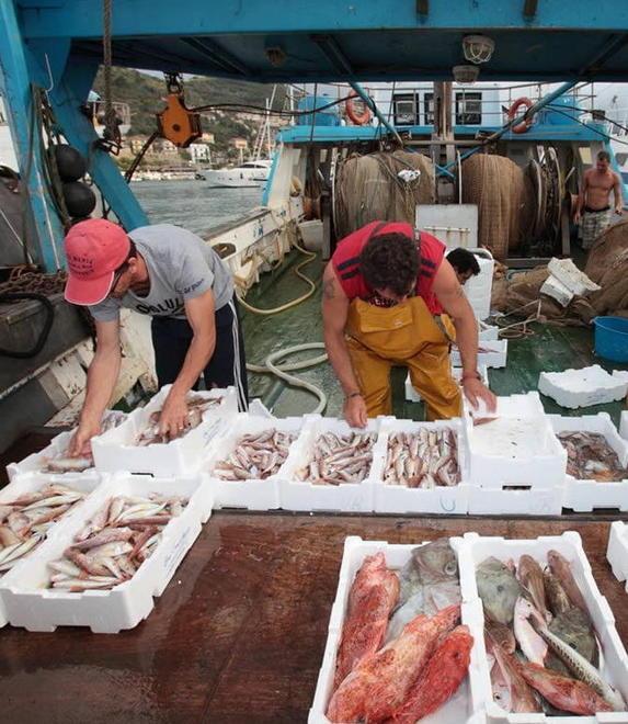 Con “Origine” la tracciatura di tutto il pescato - Il Tirreno