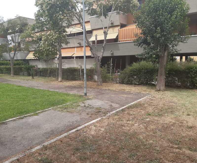 Verde Maremma a secco: «Pozzo chiuso da mesi» Il Tirreno