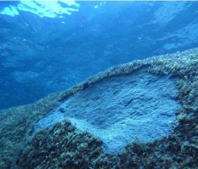 «Il fondale stavolta si è salvato, ma non sarà sempre così» - Il Tirreno