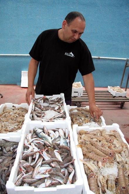 Asta del pesce al mercato ittico di Viareggio - Il Tirreno