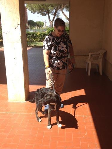 Chicca cane eroe salva il padrone tra le onde Il Tirreno