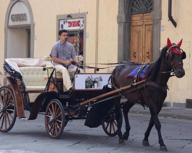 A spasso in carrozza per le strade di Prato - Il Tirreno