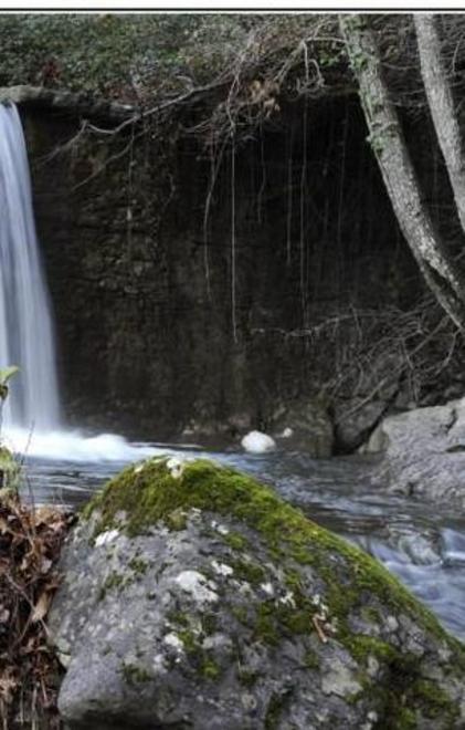 Domenica al via la pesca alla trota - Il Tirreno