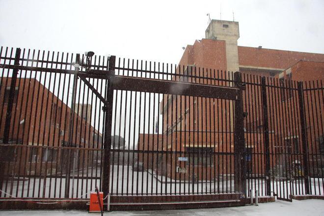 Mario Alessi farà il giardiniere alla Dogaia - Il Tirreno