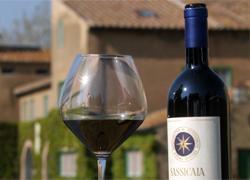 Le grandi guide: tra i top anche 3 vini toscani Il Tirreno