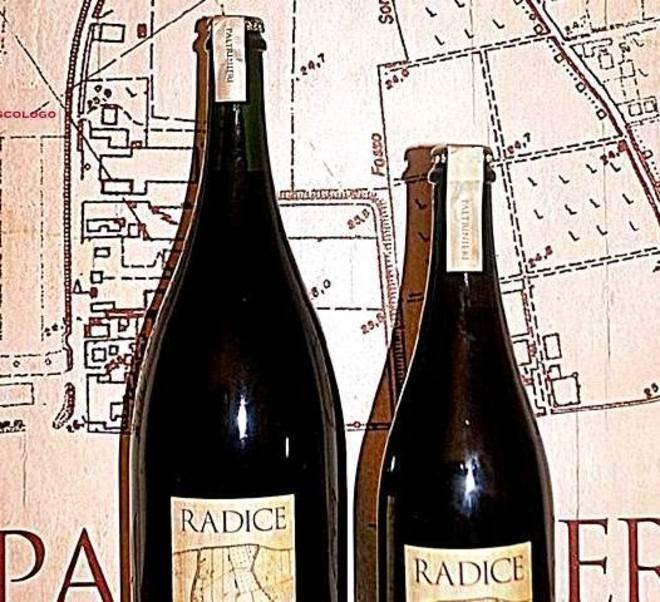 Una corona per sua maestà il Sorbara Gazzetta di Modena