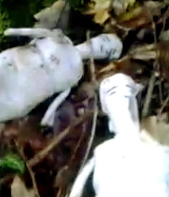 Bamboline Voodoo e un cranio la macabra scoperta nel bosco - Il Tirreno